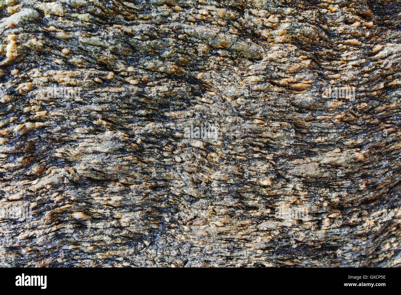 Background, unique texture of natural stone in France Stock Photo - Alamy