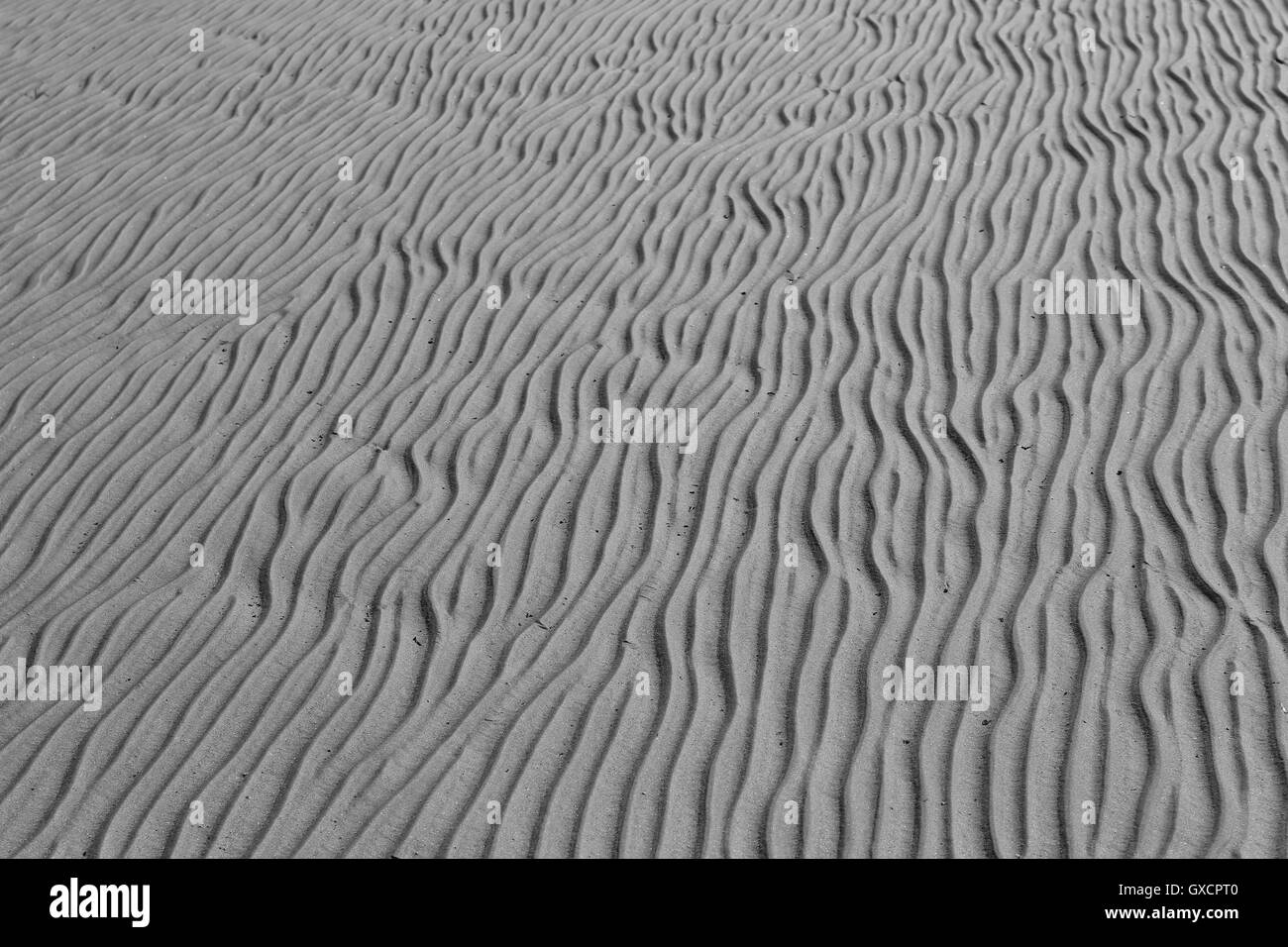 Pattern on beach sand Black and White Stock Photos & Images - Alamy