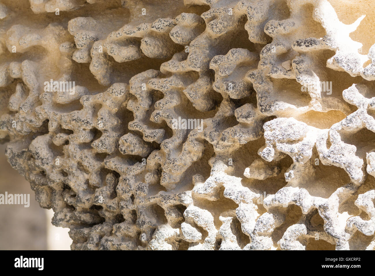 Textured limestone rock with erosion sponge surface, Provence, France ...
