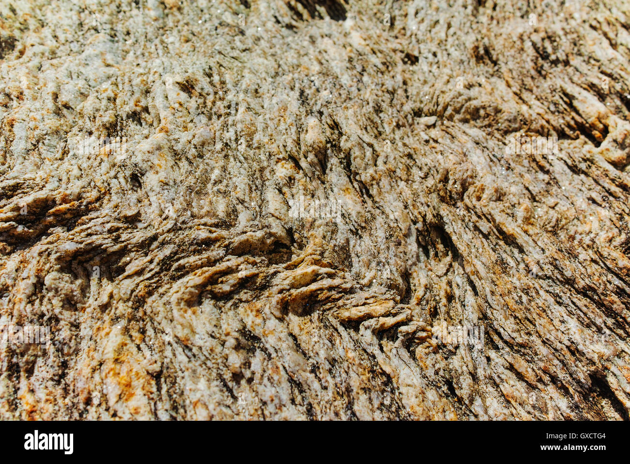 Background, unique texture of natural stone in France Stock Photo - Alamy