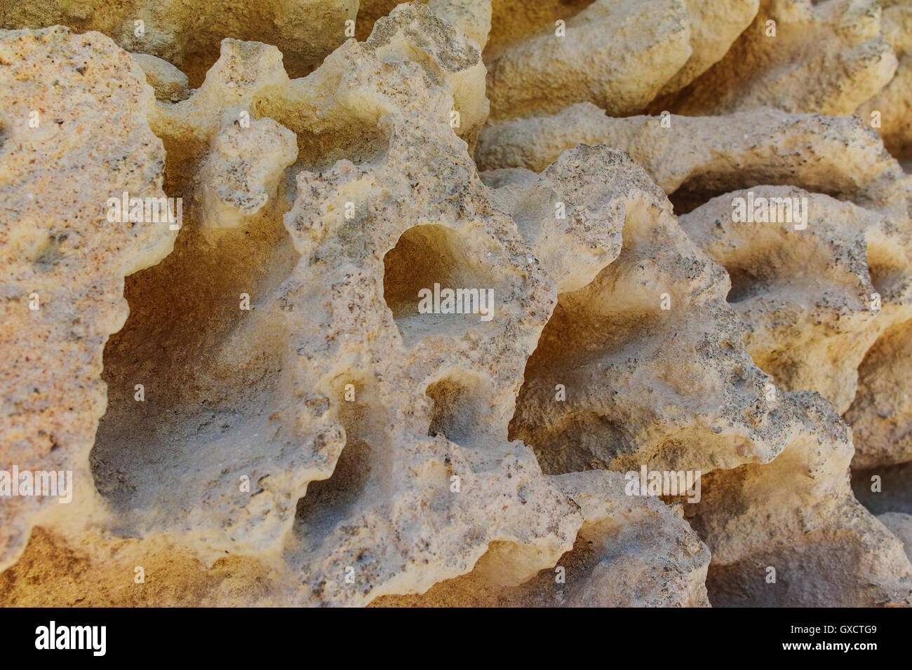 Textured limestone rock with erosion sponge surface, Provence, France ...