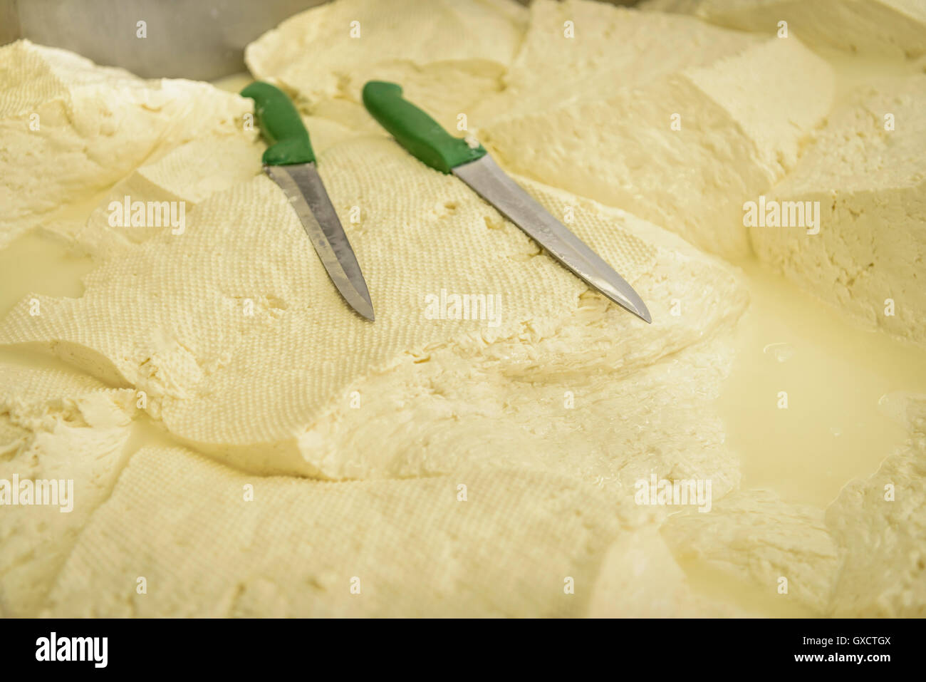 Unformed mozzarella cheese in cheese factory Stock Photo - Alamy