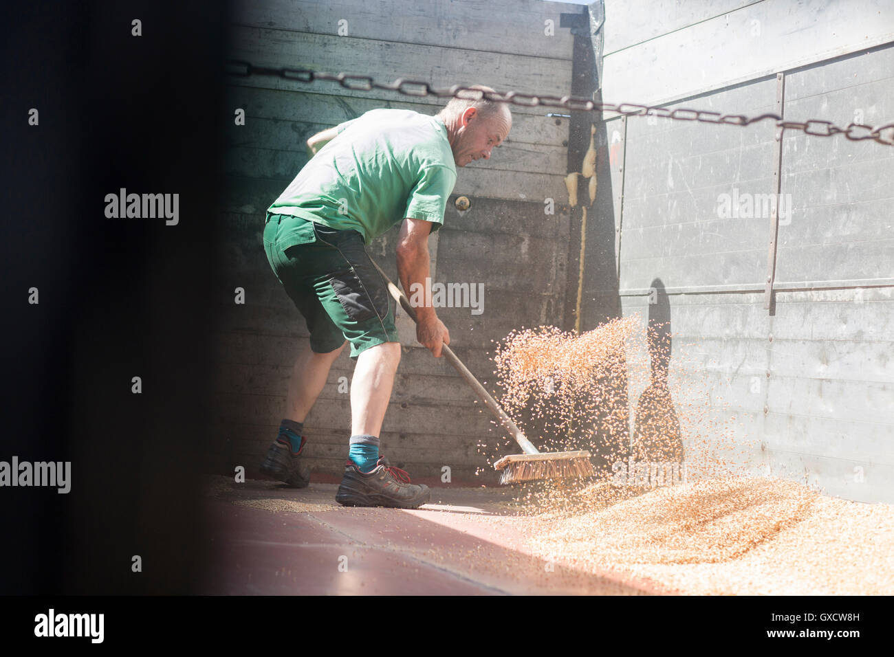 Food sweeping hi-res stock photography and images - Alamy