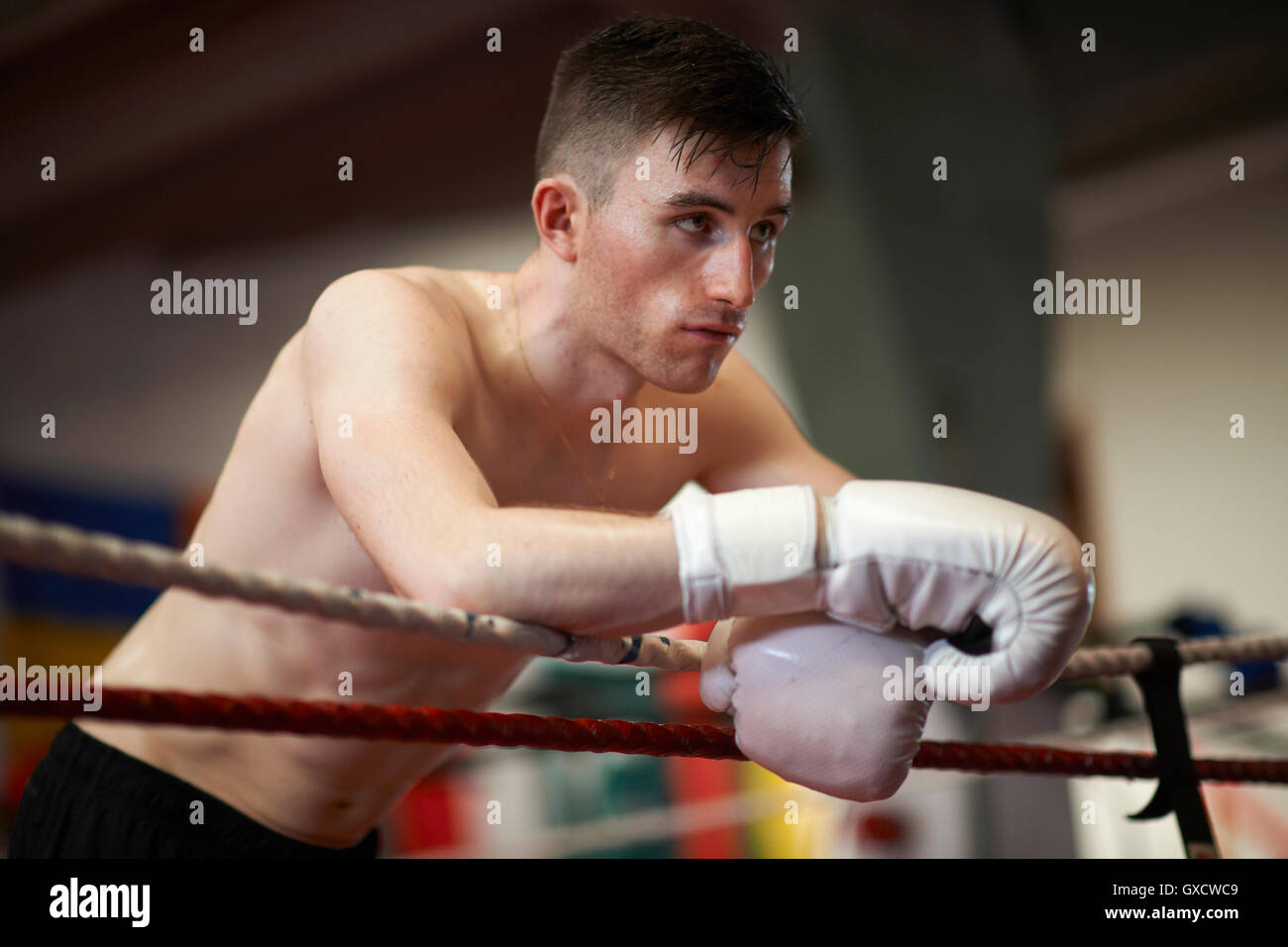 Boxer leaning on ropes of boxing ring Stock Photo - Alamy