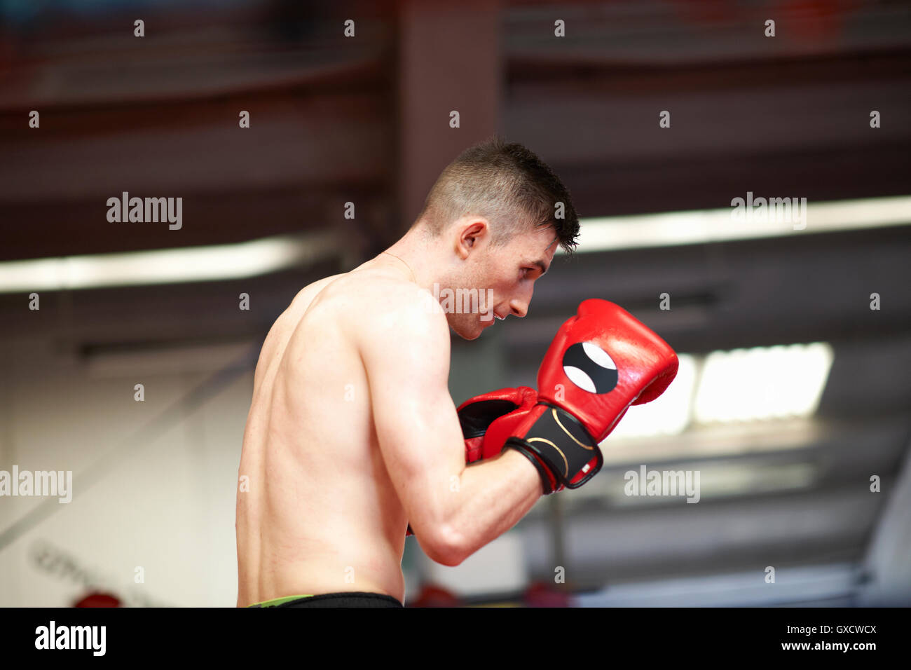 Man boxing ring concept hi-res stock photography and images - Alamy