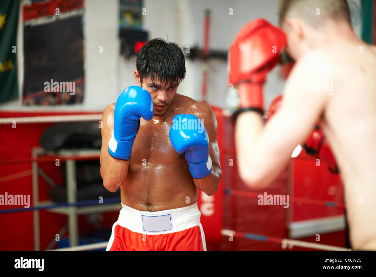 Two boxers sparring in boxing ring Stock Photo - Alamy