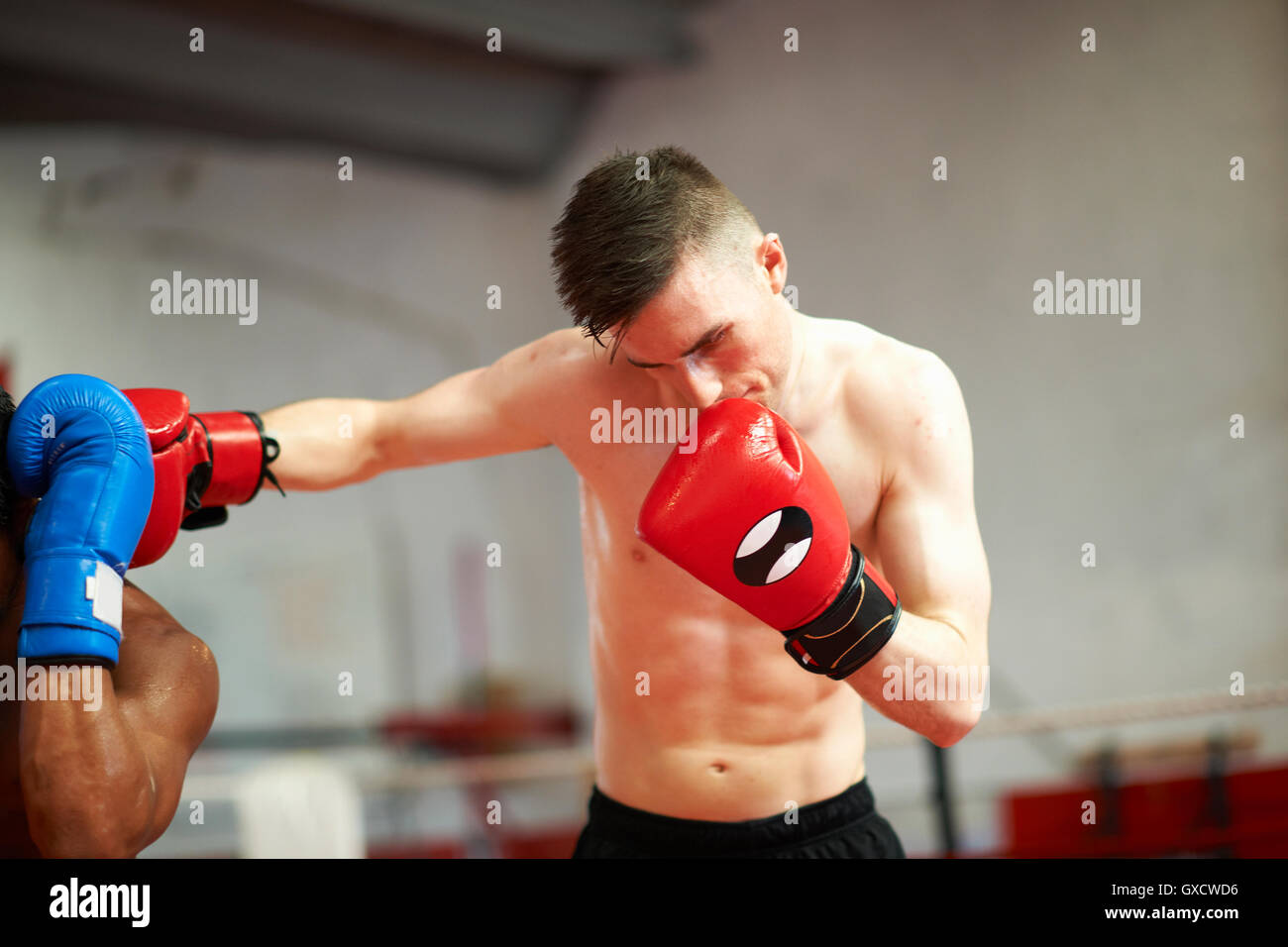 Two boxers sparring hi-res stock photography and images - Alamy