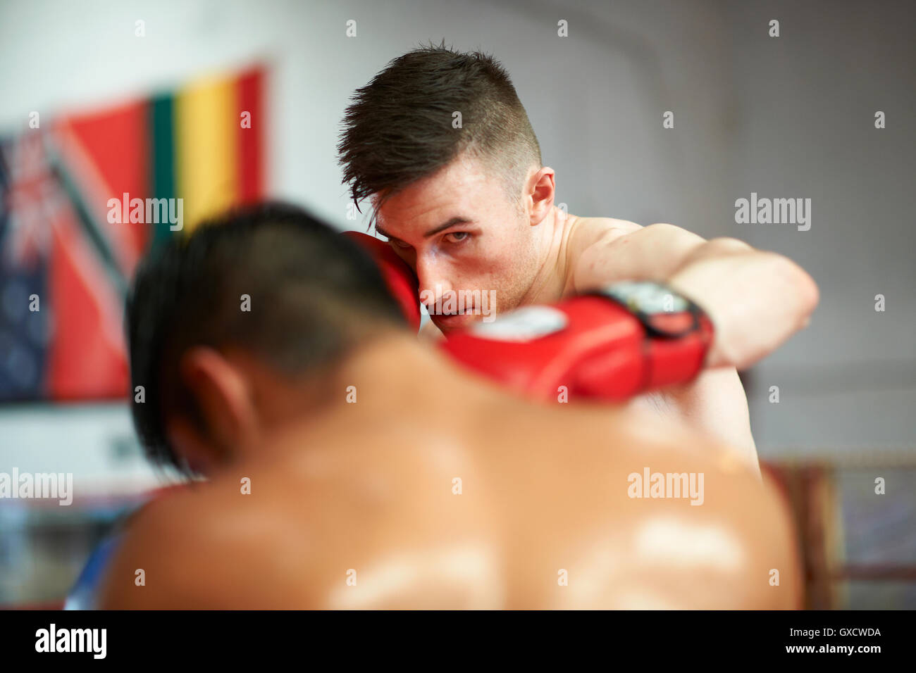 Boxers sparring hi-res stock photography and images - Alamy