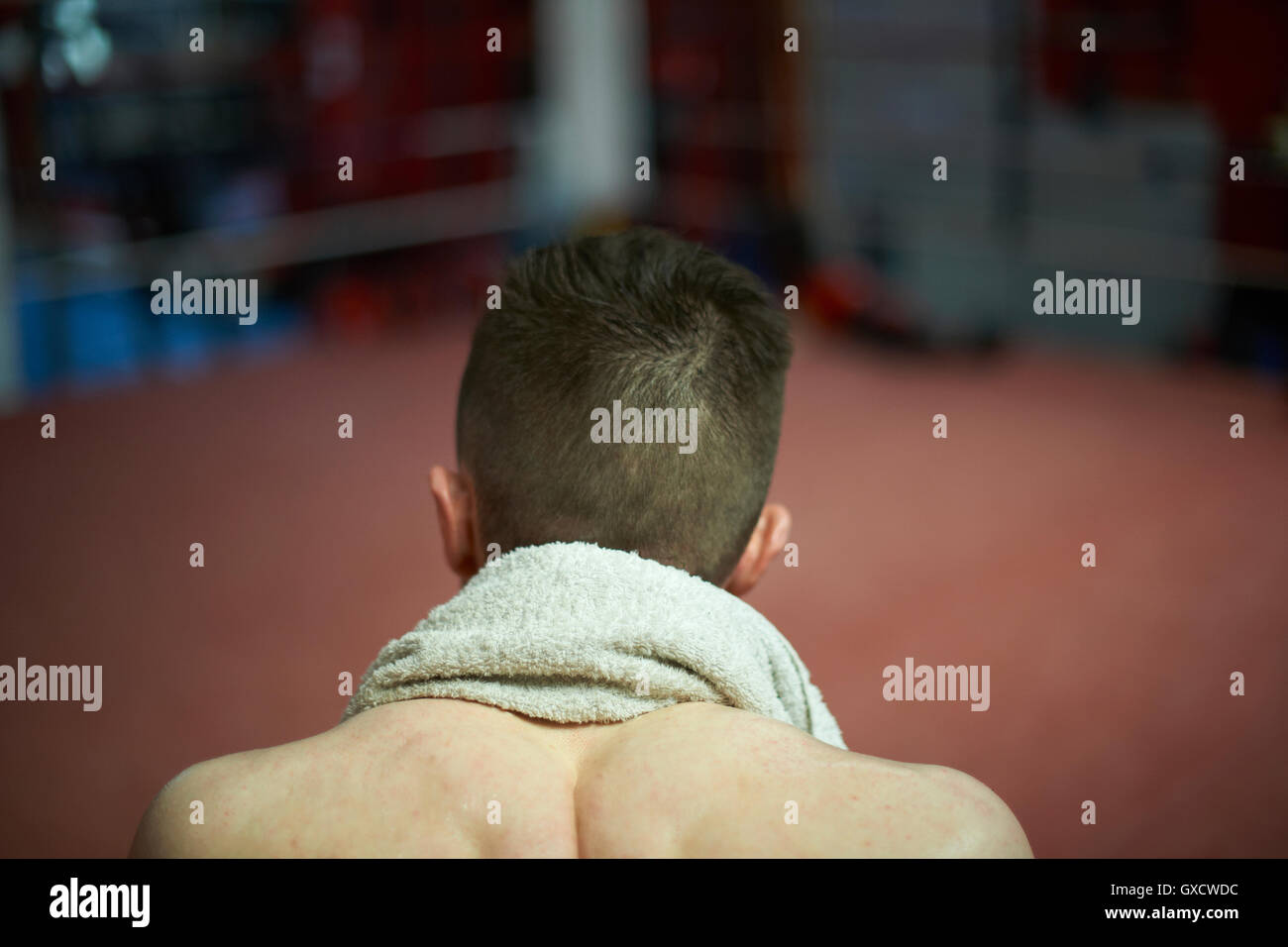 Boxer sitting in corner of boxing ring, rear view Stock Photo - Alamy
