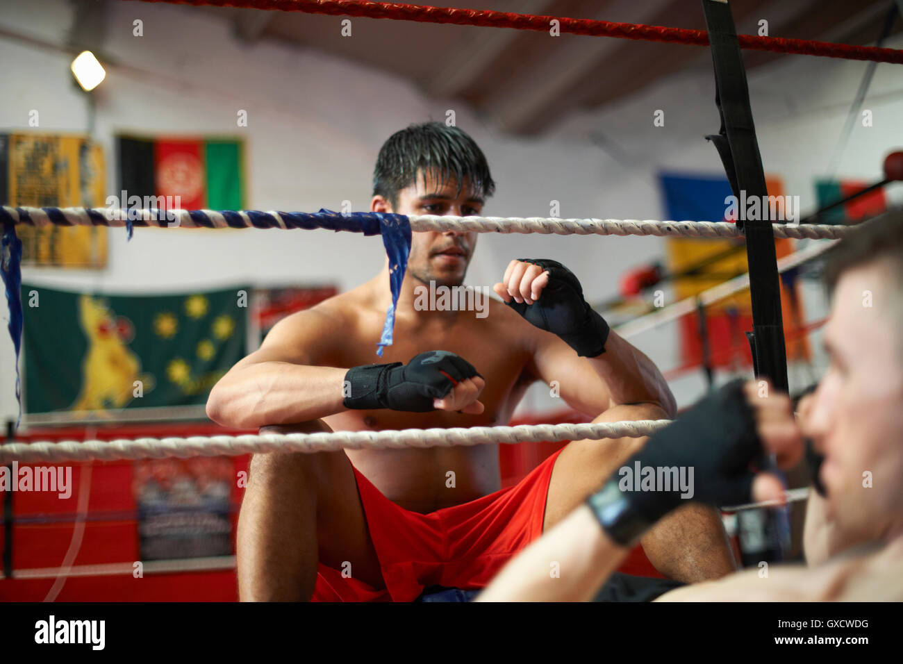 Boxer working out with sparring partner Stock Photo - Alamy