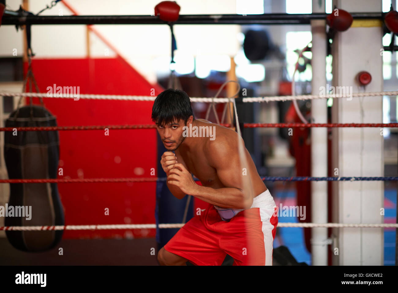 Boxer practising in boxing ring Stock Photo - Alamy