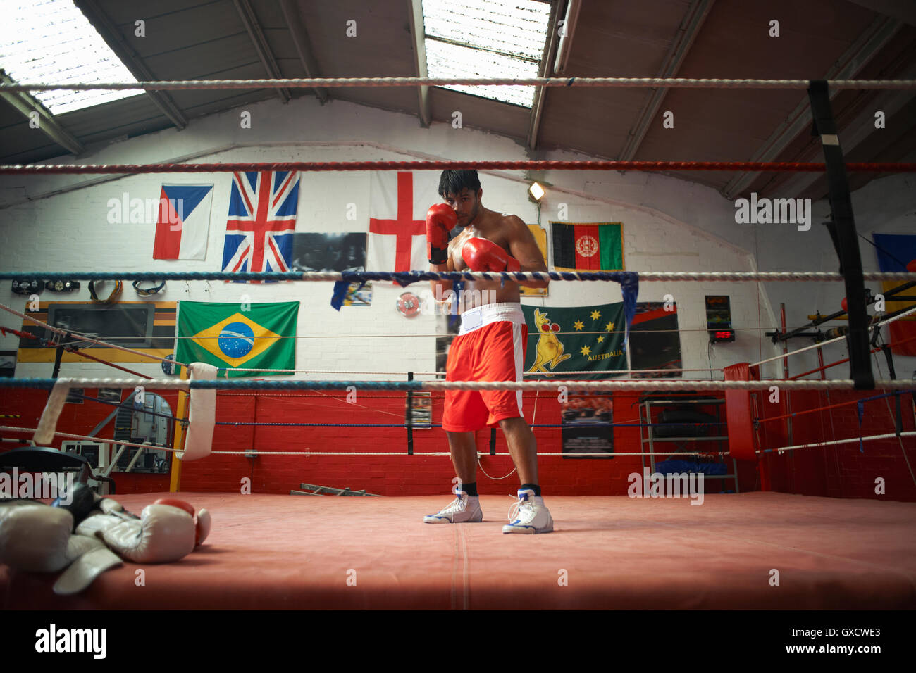 Portrait of boxer in boxing ring Stock Photo - Alamy