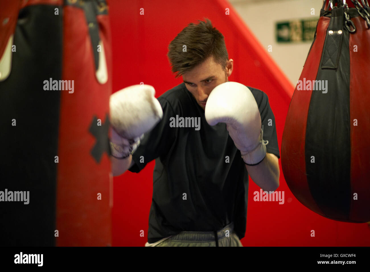 Boxer working out, using punch bag Stock Photo - Alamy