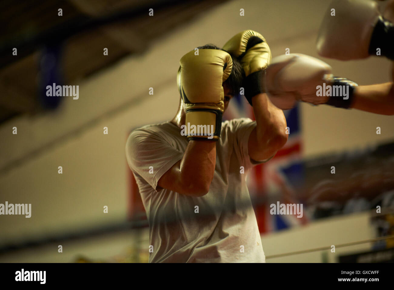 Two men boxing hi-res stock photography and images - Alamy