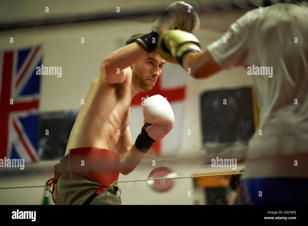 Two boxers sparring in boxing ring Stock Photo - Alamy