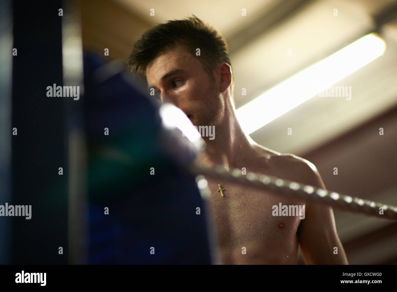 Boxer working out in boxing ring Stock Photo - Alamy