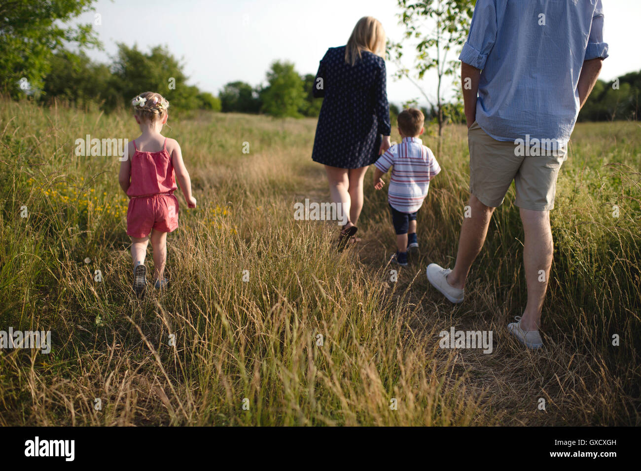 Rear view of mid adult parents strolling in meadow boy and girl Stock ...