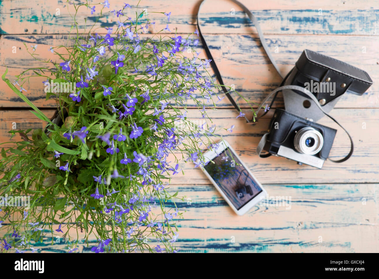 Still life of camera, smartphone and potted plant, overhead view Stock ...