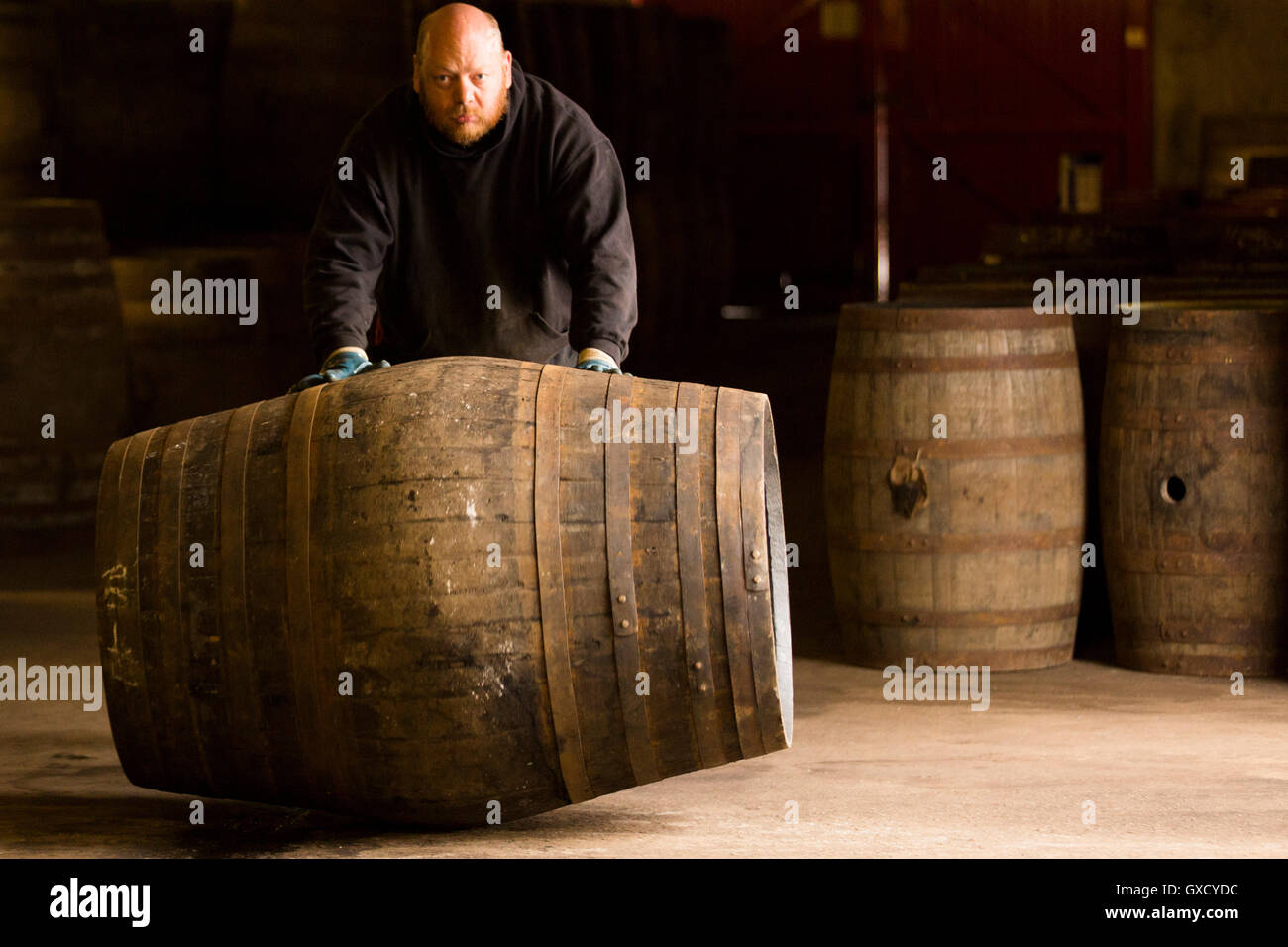 Portrait of worker rolling whisky cask in whisky distillery Stock Photo ...