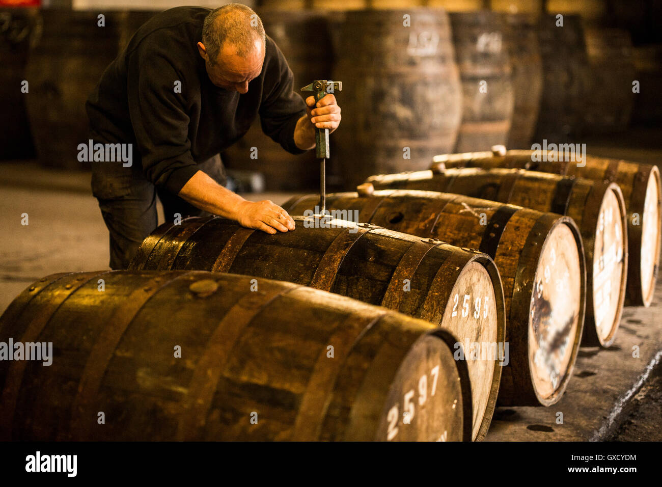 Male worker opening wooden whisky cask in whisky distillery Stock Photo ...