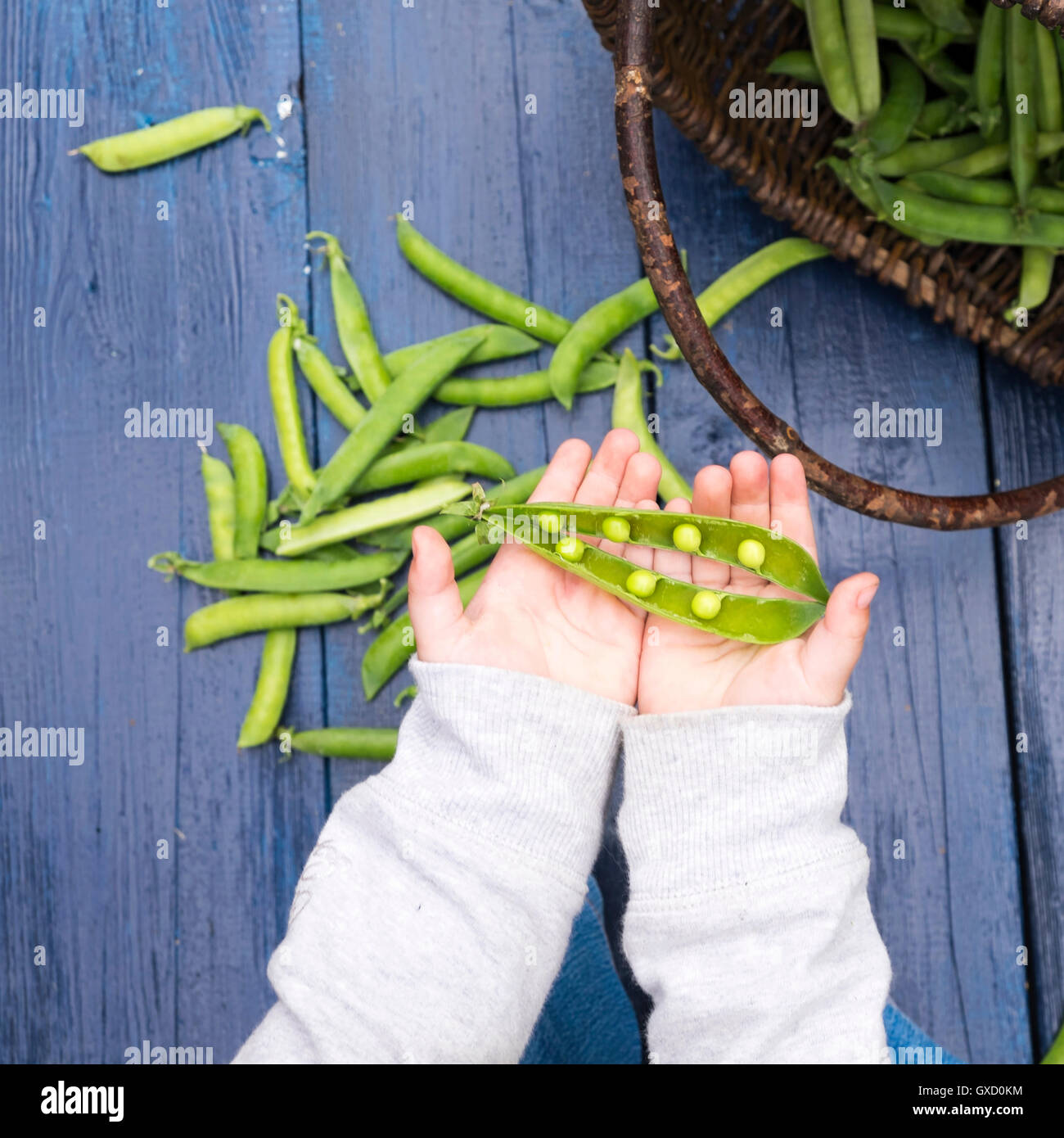 Young boy shelling sugar snap peas, close-up Stock Photo - Alamy