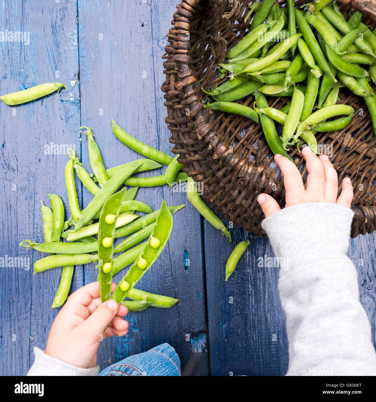 Young boy shelling sugar snap peas, close-up Stock Photo - Alamy