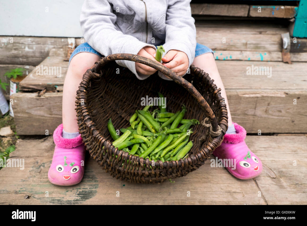 Shelling hi-res stock photography and images - Alamy