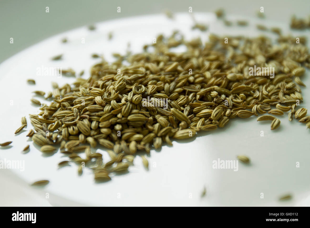 Fennel detail hi-res stock photography and images - Alamy