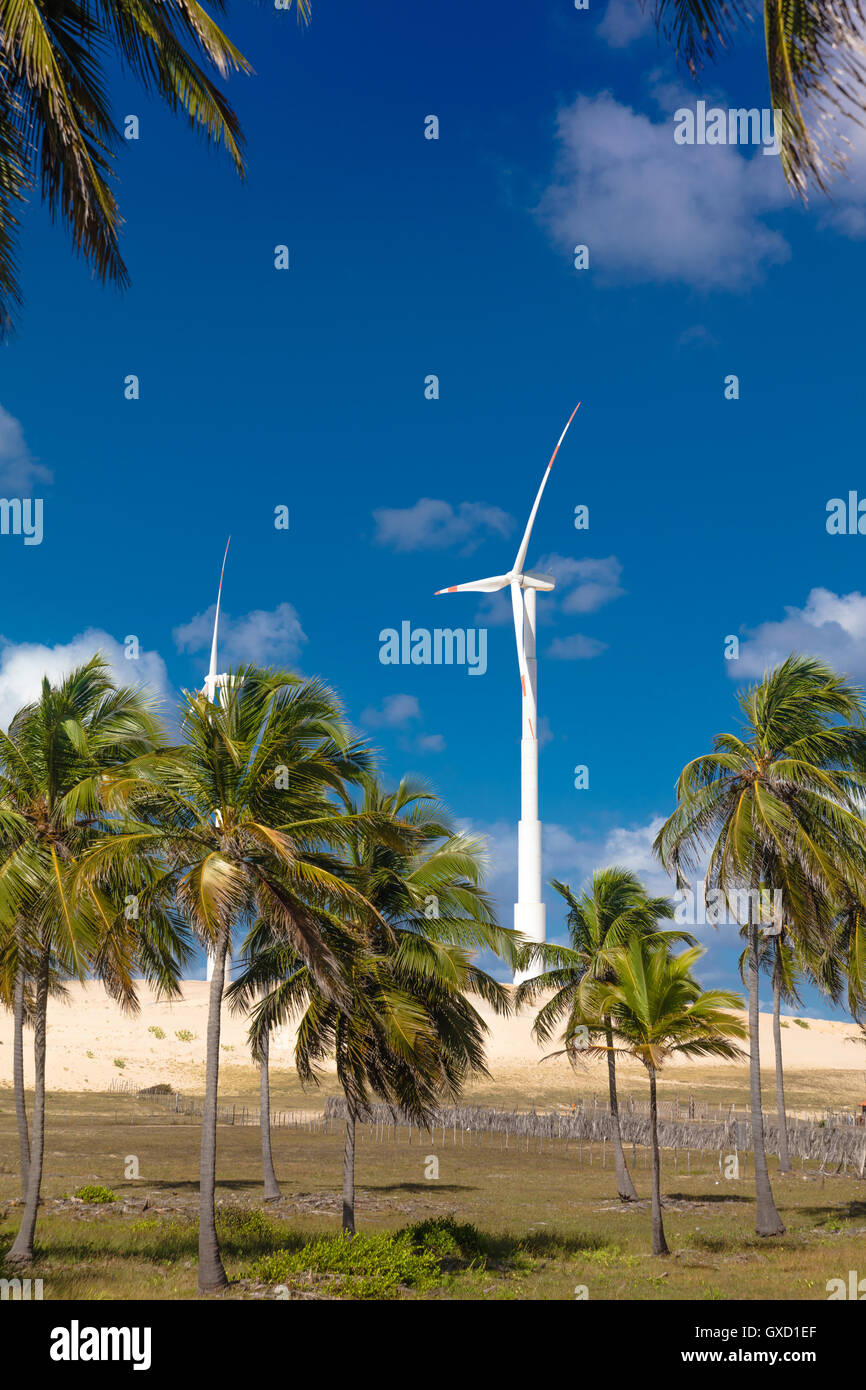 Taiba hi-res stock photography and images - Alamy