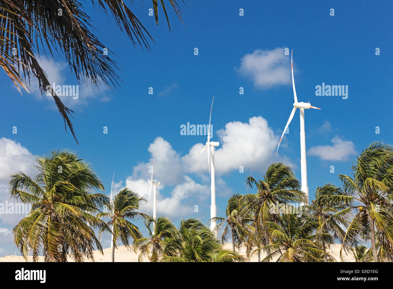 Wind farm, Taiba, Ceará, Brazil Stock Photo - Alamy