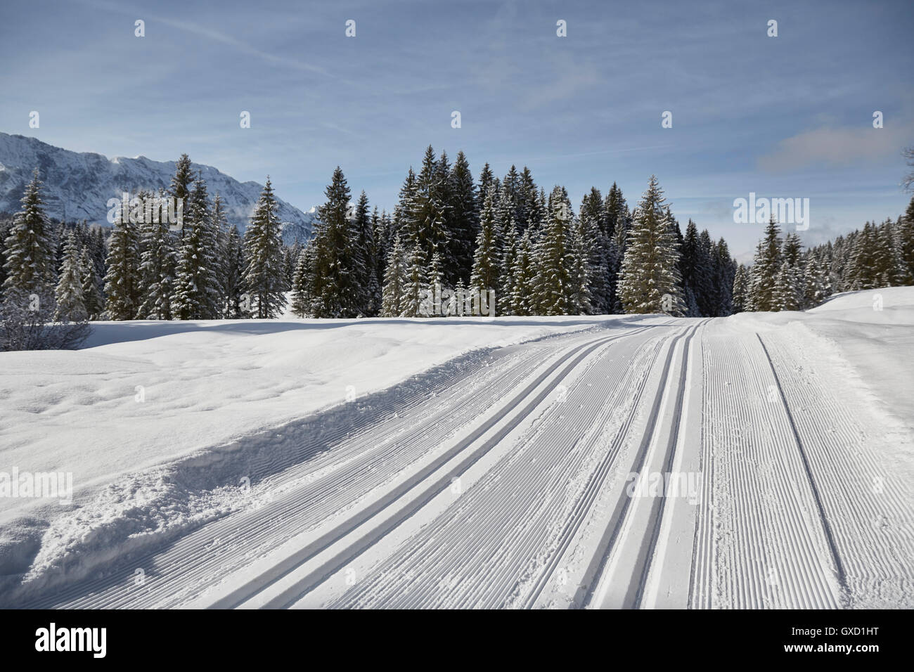 Tyre tracks and fir trees on snow covered landscape, Elmau, Bavaria ...