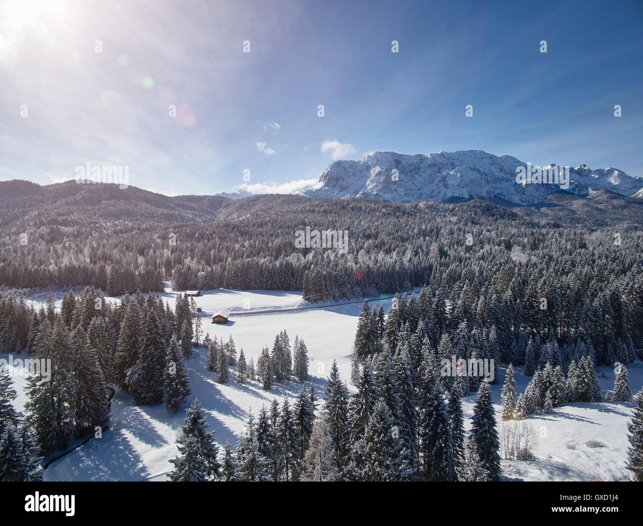 Fir trees snow hi-res stock photography and images - Alamy