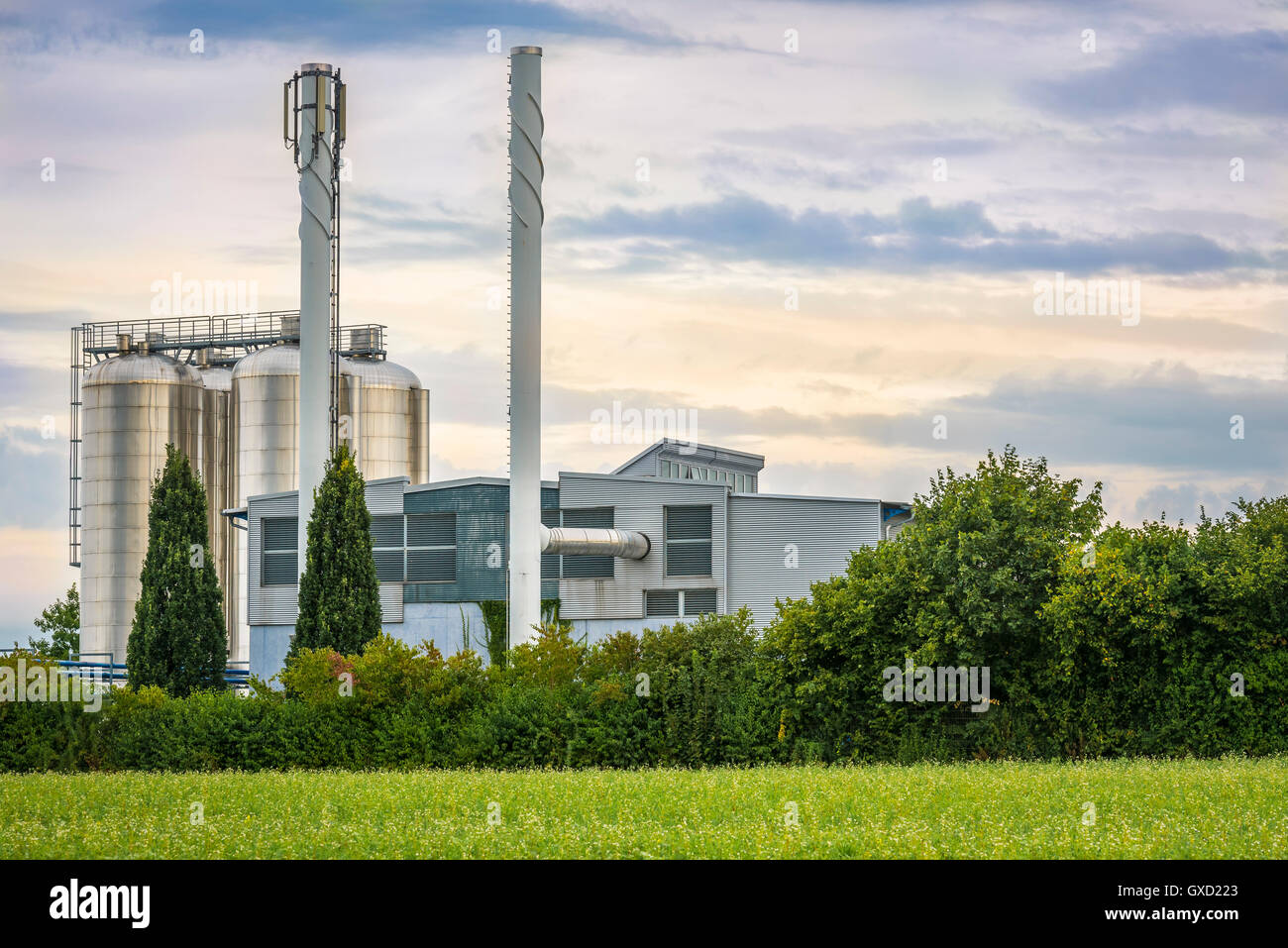 Bio energy plant close up Stock Photo - Alamy