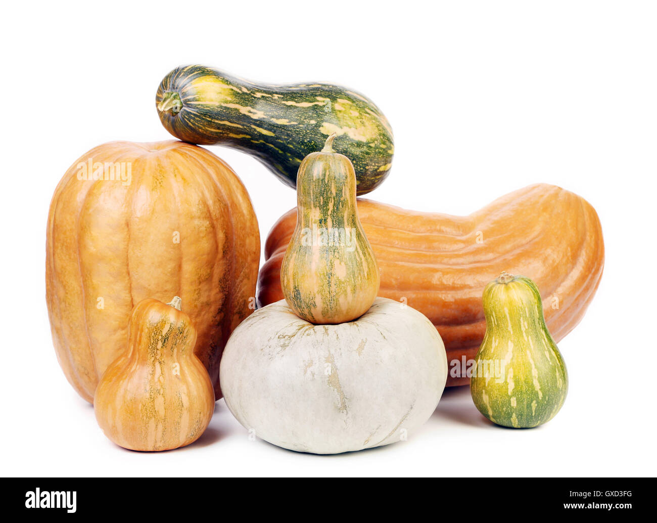 Composition of different types fresh pumpkins Stock Photo - Alamy