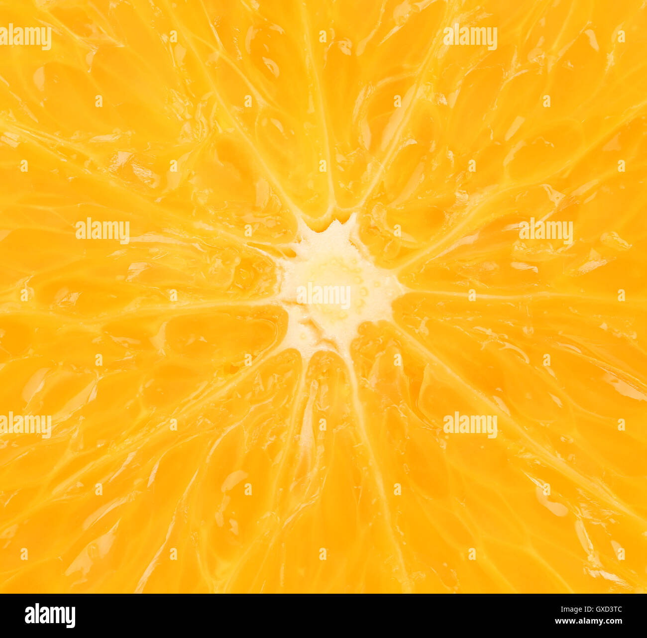Fresh orange background Stock Photo - Alamy