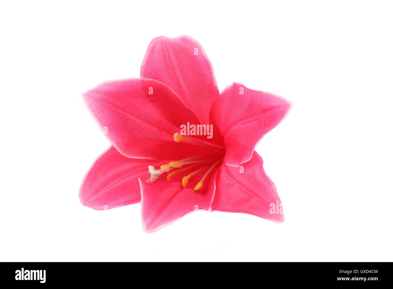 Blooming peach fruit tree Cut Out Stock Images & Pictures - Alamy