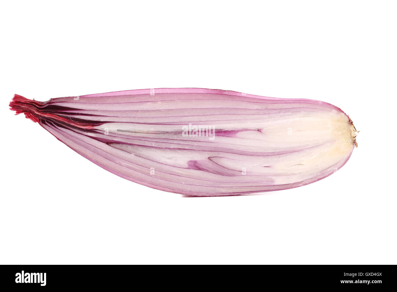 Sliced italian red onion Cut Out Stock Images & Pictures - Alamy