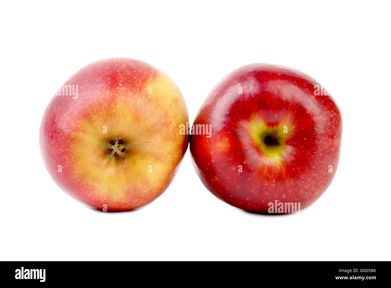Two red apple tales Stock Photo - Alamy