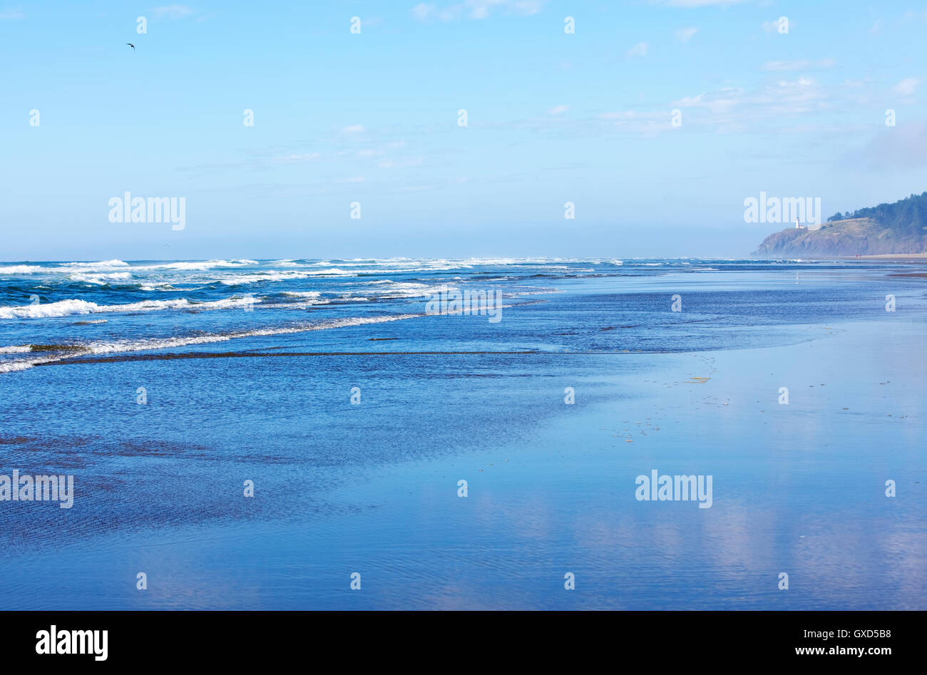 Oregon coastline, beach Stock Photo - Alamy
