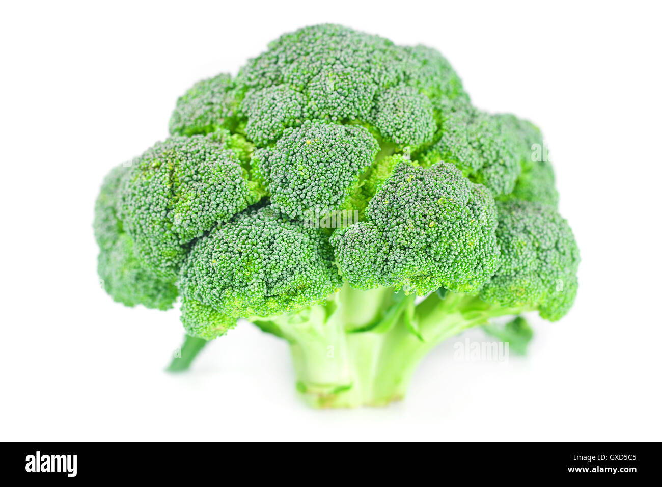 big broccoli isolated on white Stock Photo - Alamy