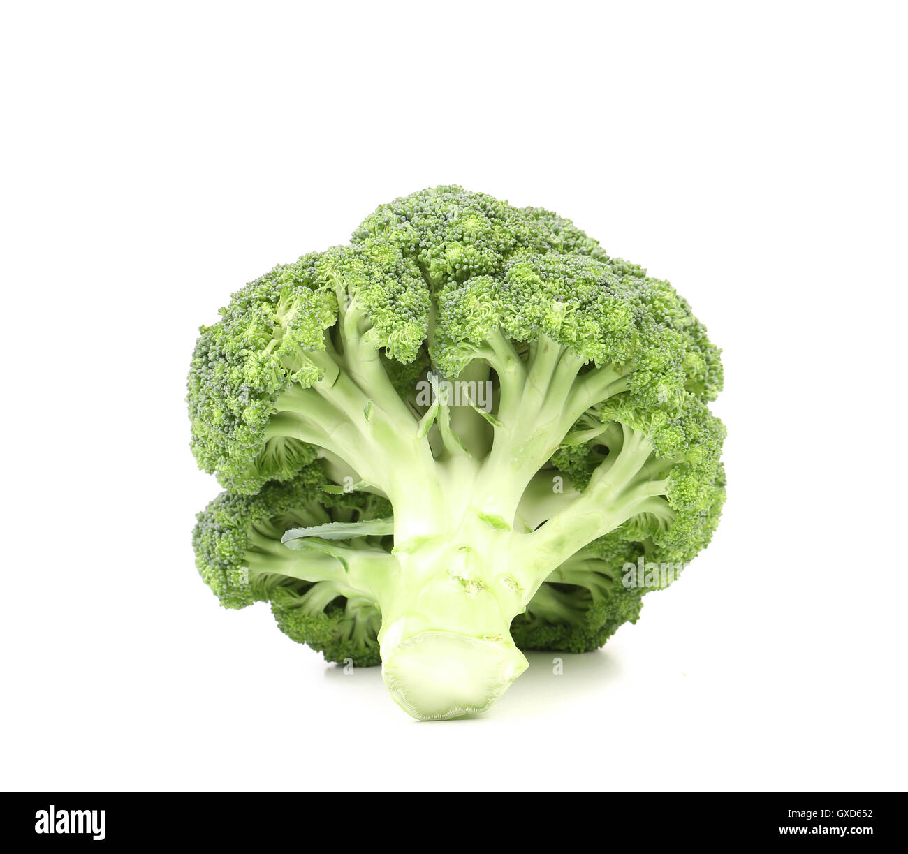 Fresh broccoli close up Stock Photo - Alamy