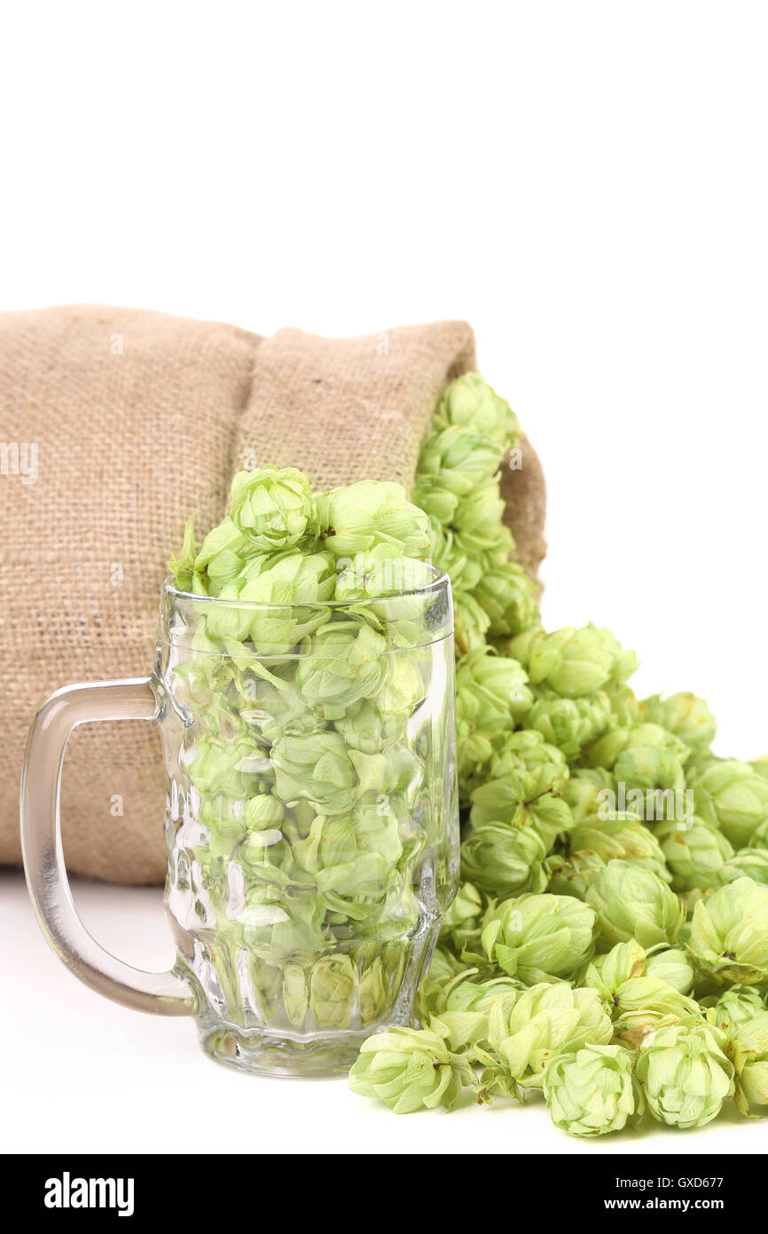 Hop sack hi-res stock photography and images - Alamy