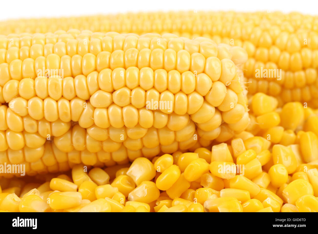 Two corncobs and handful canned corns Stock Photo - Alamy