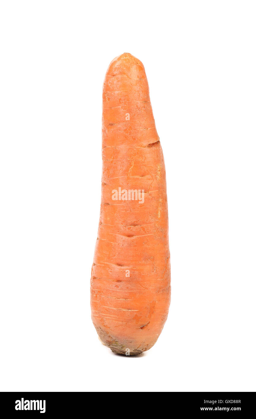 One fresh carrot Stock Photo - Alamy