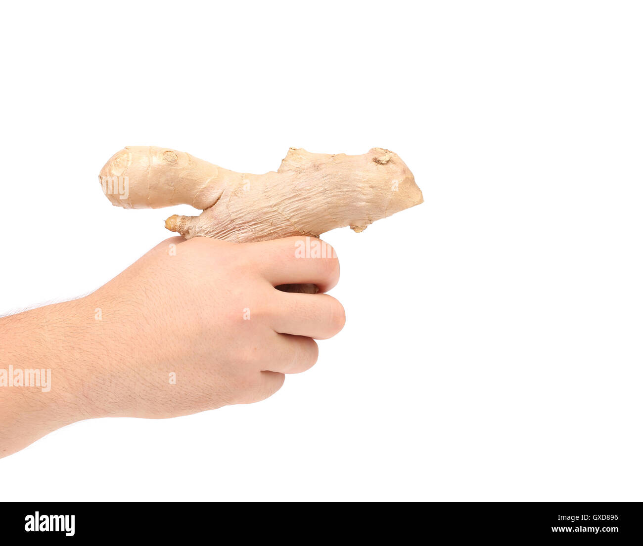 Ginger root plant hand Cut Out Stock Images & Pictures - Alamy