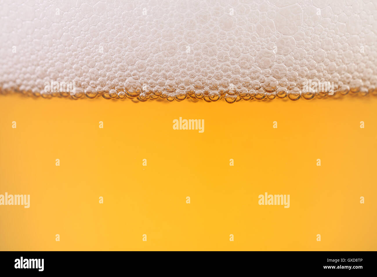 Close up of beer with foam Stock Photo - Alamy