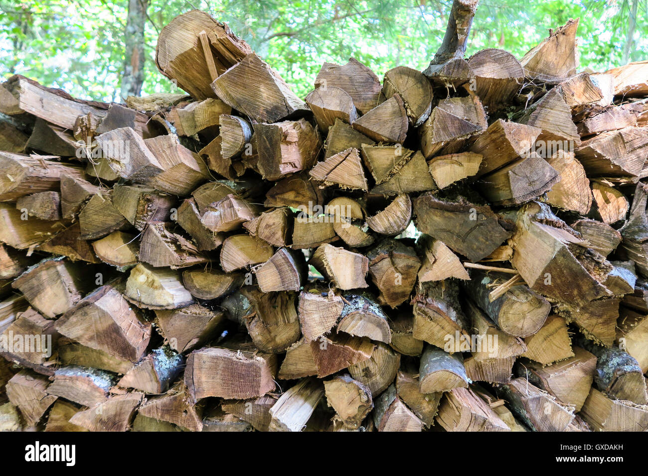 Firewood Pile, USA Stock Photo - Alamy