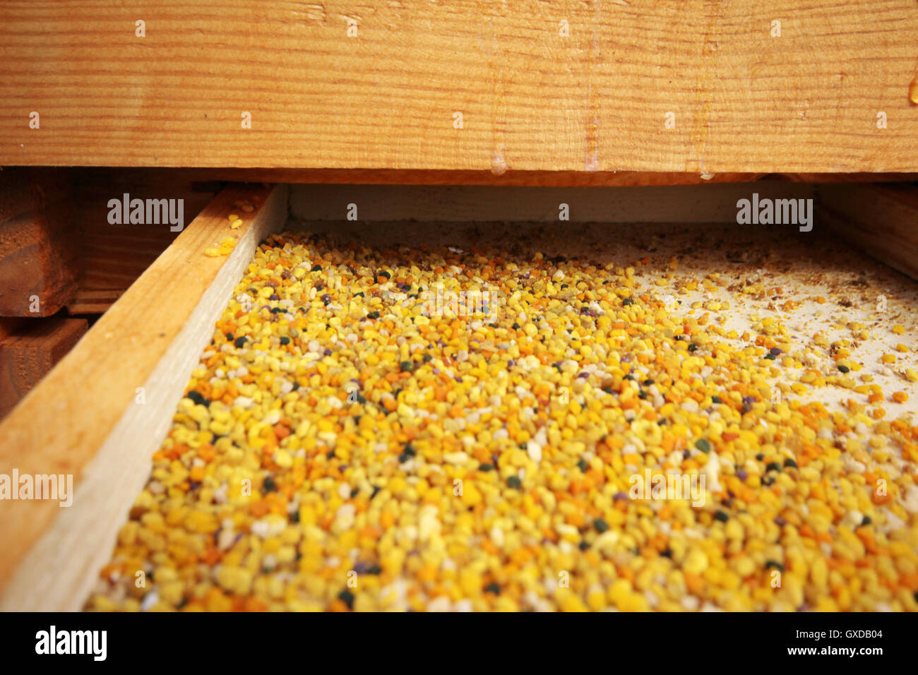 Pollen pellet hi-res stock photography and images - Alamy