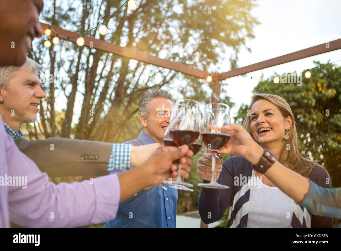 Mature friends in a circle making a red wine toast at garden party ...