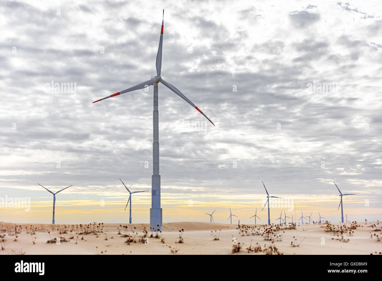 Wind turbines in desert landscape, Taiba, Ceara, Brazil Stock Photo - Alamy